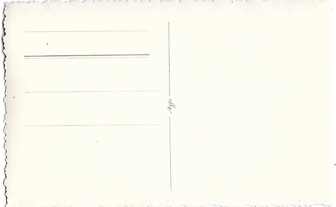 RPPC Christmas Nativity Scene Mary Joseph Baby Jesus Animals Shepherds ...