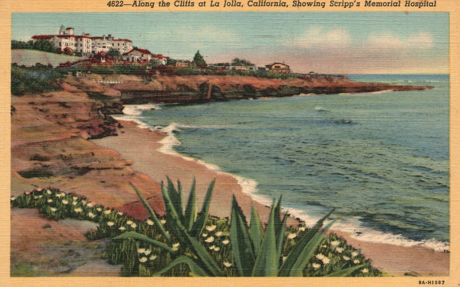 Vintage Postcard 1930's Cliffs at La Jolla Scripp's Memorial Hospital ...