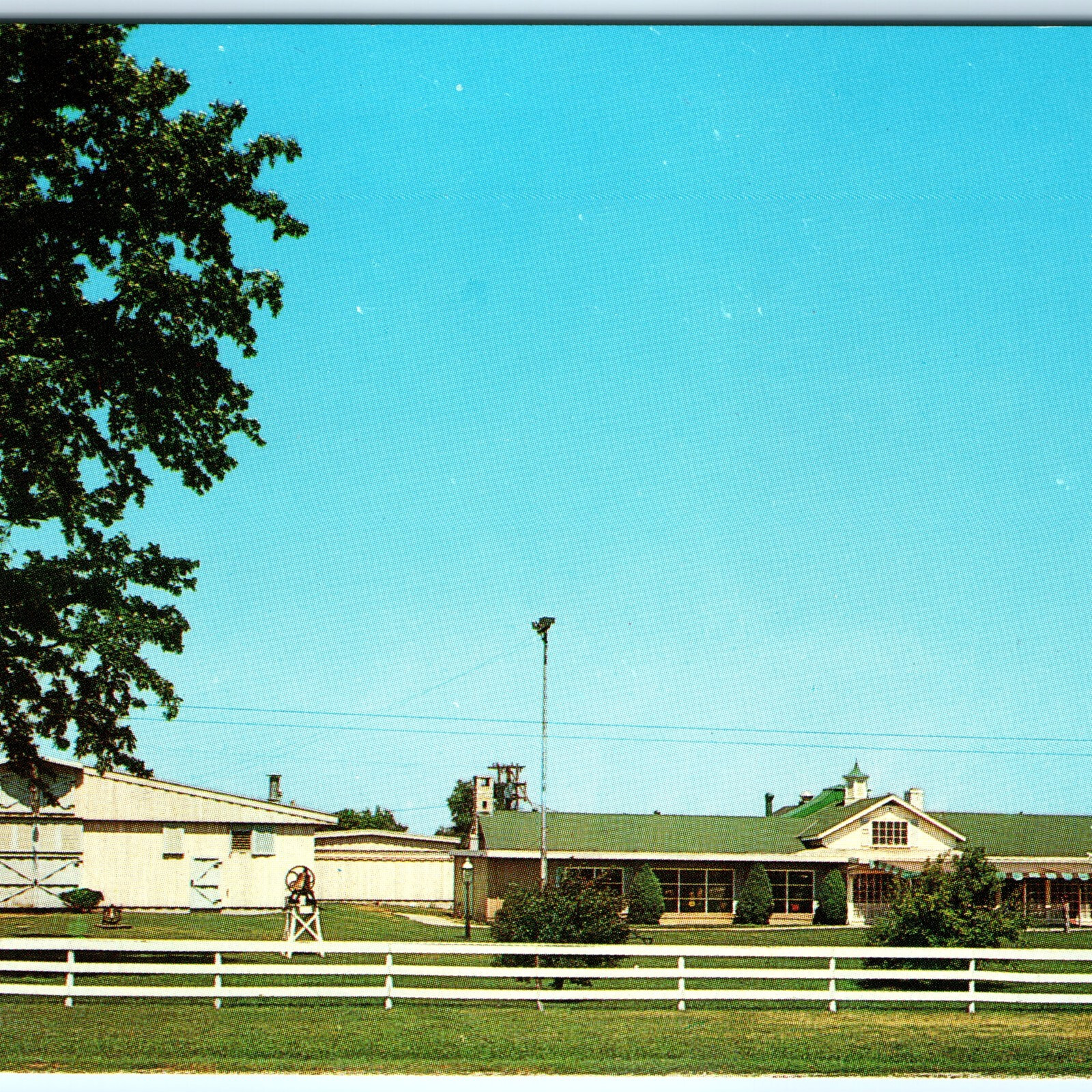 c1960s Joliet IL White Fence Farm Route 66 Chicken Chrome PC Lemont ILL ...