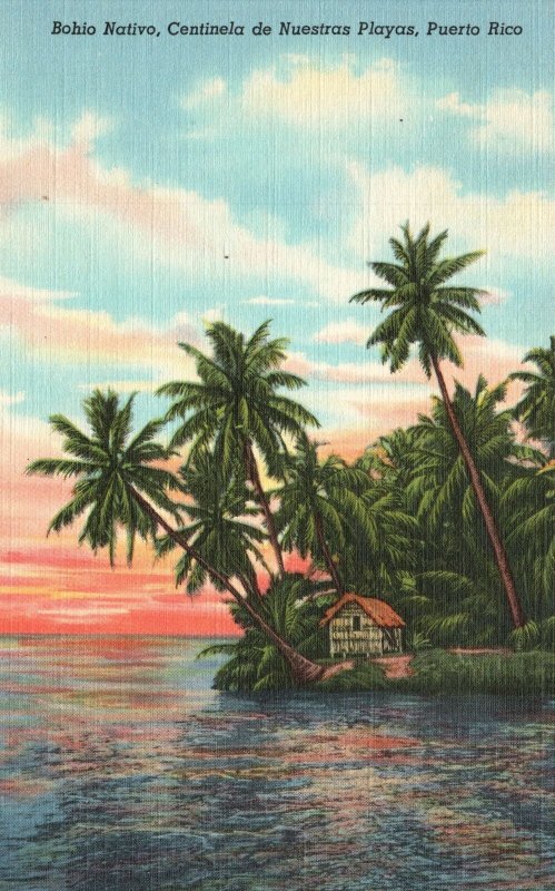 Vintage Postcard 1930's Bohio Nativo Centinela de Nuestras Playas ...