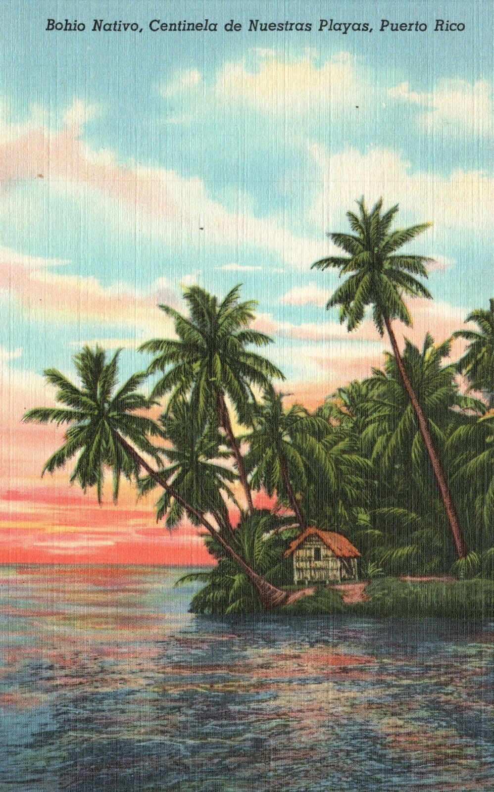 Vintage Postcard 1930's Bohio Nativo Centinela de Nuestras Playas ...