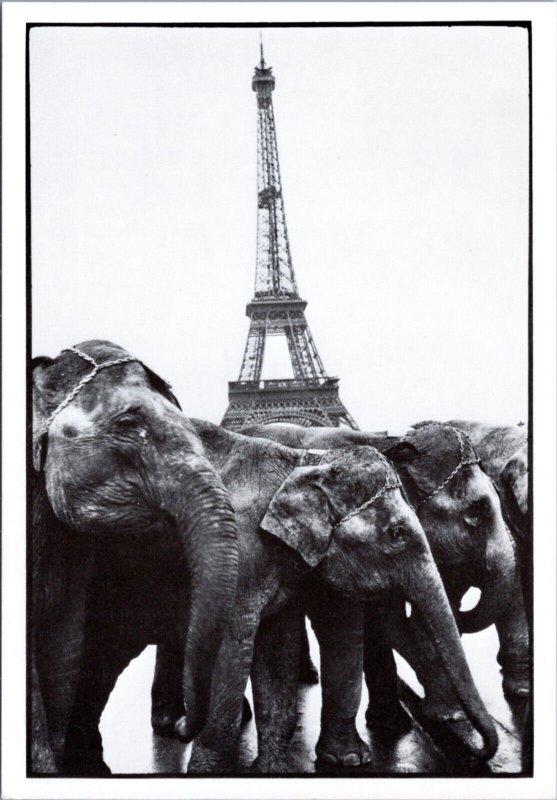 Postcard France Paris Art Elephants in front of Eiffel Tower - Guy Le ...