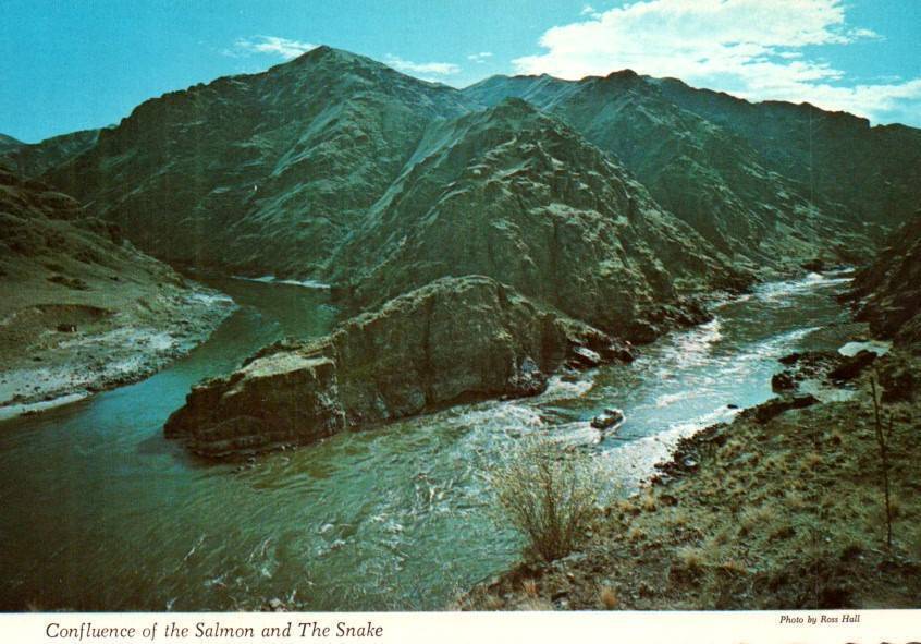 Vintage Postcard Continental Size Confluence of the Salmon and the ...