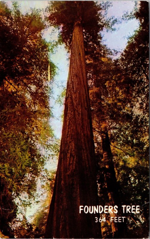 Historic Founders Tree Red Wood Highway California Chrome Cancel WOB ...