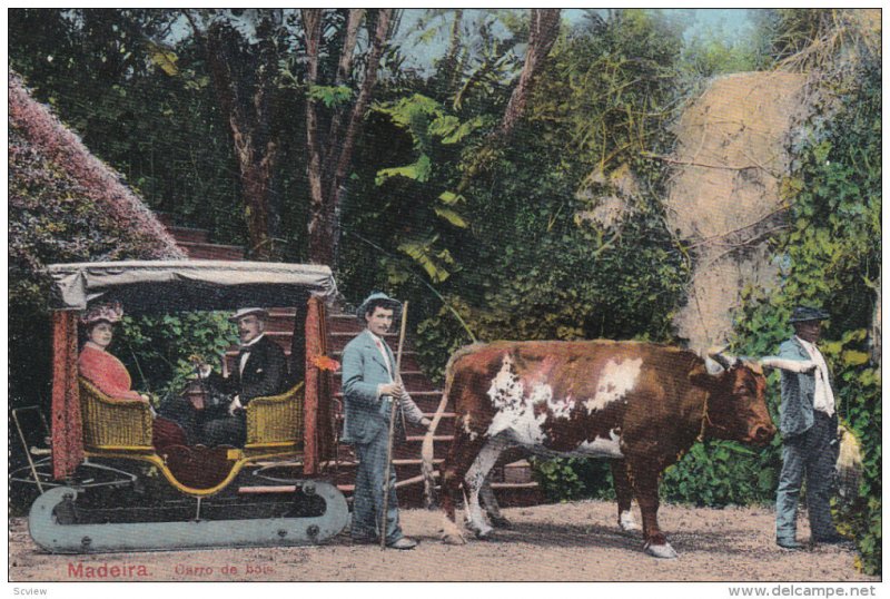 MADEIRA, Portugal, 1900-1910's; Carro De Bois | Europe - Portugal ...