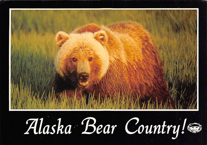 Grizzly Bear Grizzly Bear, Denali National Park | Topics - Animals ...