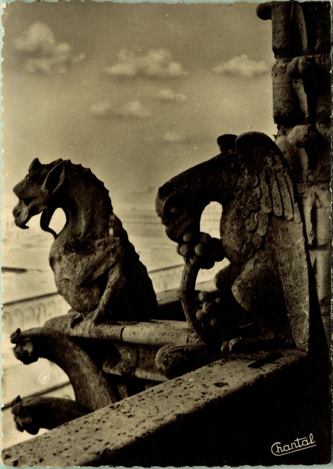 RPPC Eagle with Grapes Dragon Chimeras Notre Dame Paris Real Photo ...