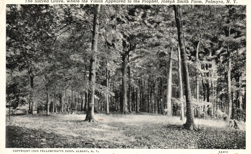 Vintage Postcard Sacred Grove Joseph Smith Farm Forest Trees Palmyra ...