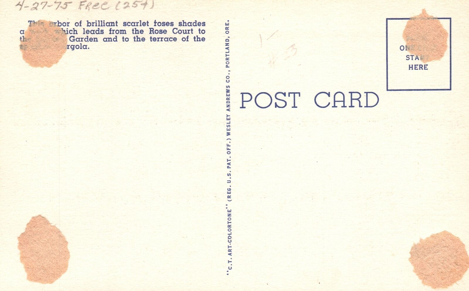 Vintage Postcard 1930s Royal Rose Arbor Festival Lambert Gardens ...