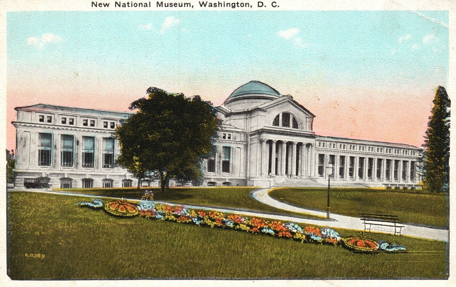 View of New National Museum Building Washington D. C. Vintage Postcard ...