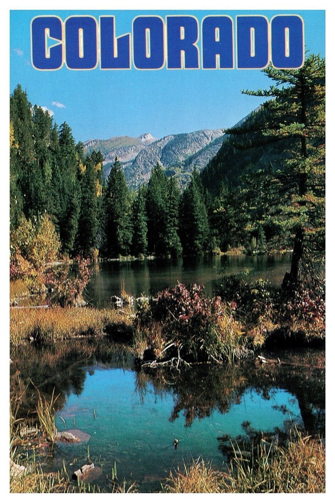 Lizard Lake Crystal Colorado CO Nature Mountains Forest Chrome Postcard ...