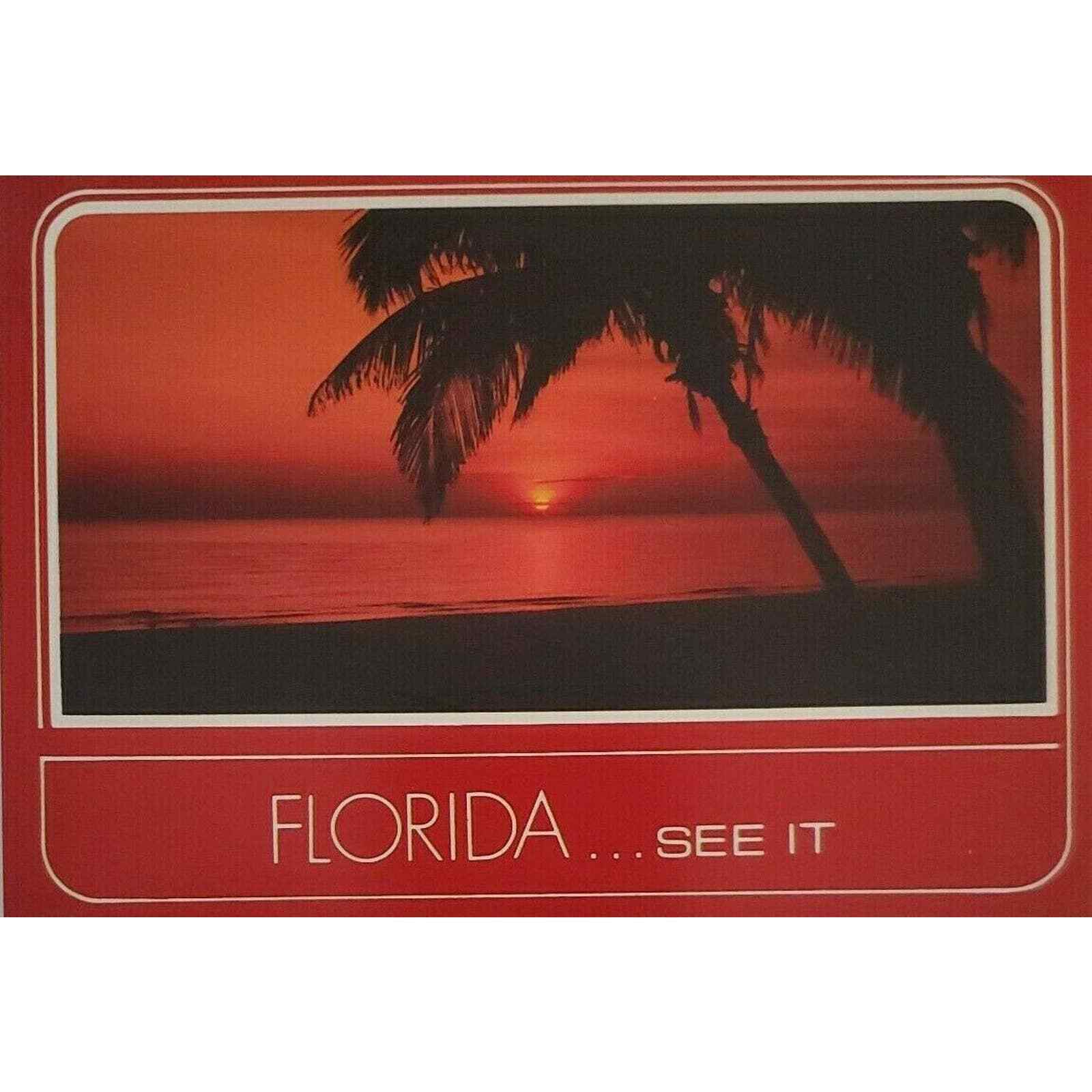 Sunset Florida See It Land of Beauty Sun and Fun Sunshine Edition ...