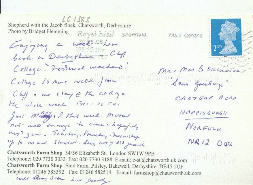 Derbyshire Postcard - Shepherd With The Jacob Flock of Sheep ...