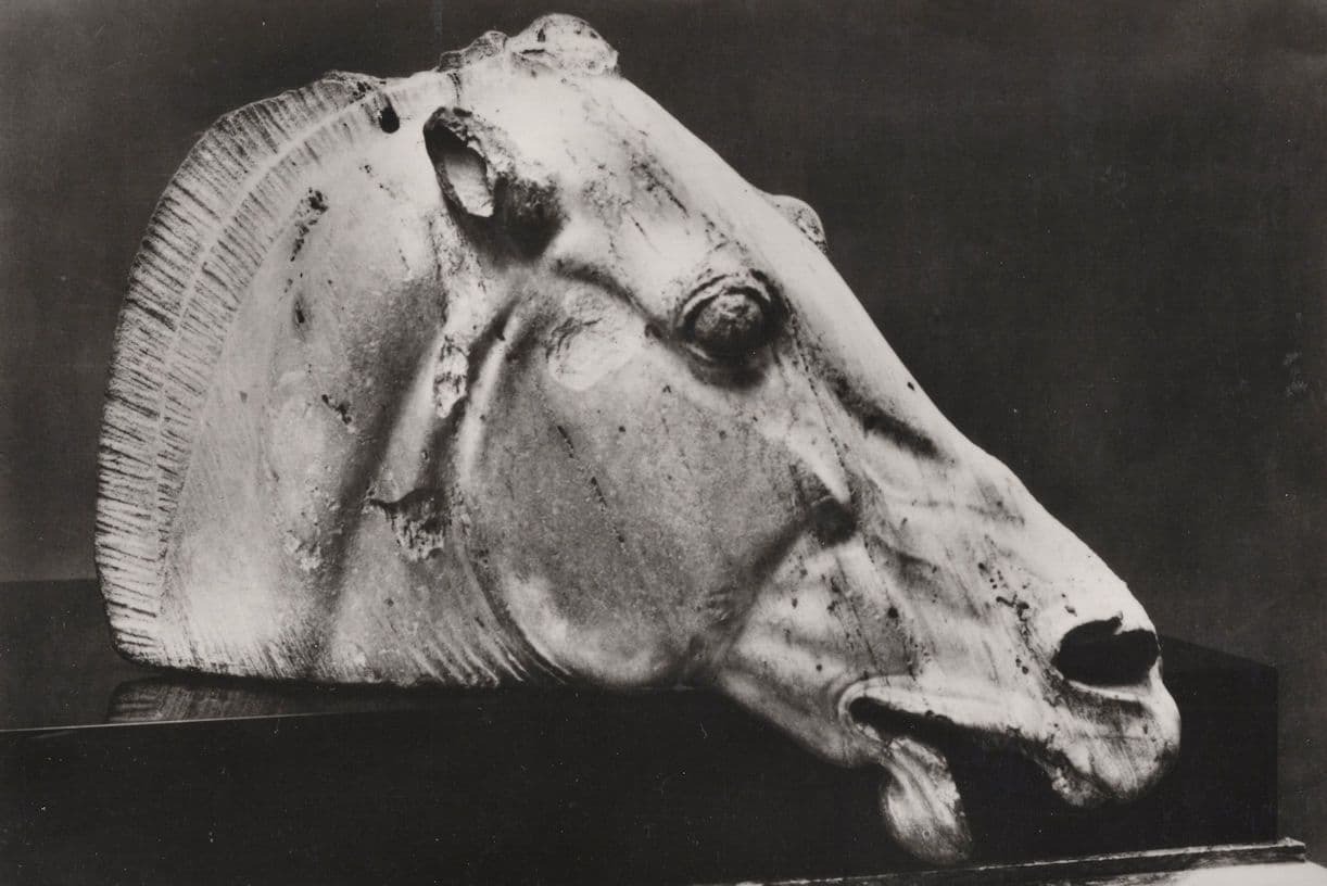 Horse Of Selene British Museum Souvenir Athens 495BC Postcard | Topics ...