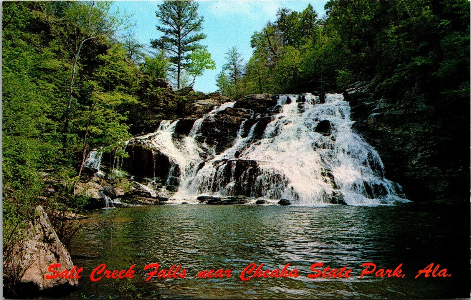 Salt Creek Falls Cheaha State Park Alabama AL Waterfall Postcard VTG ...