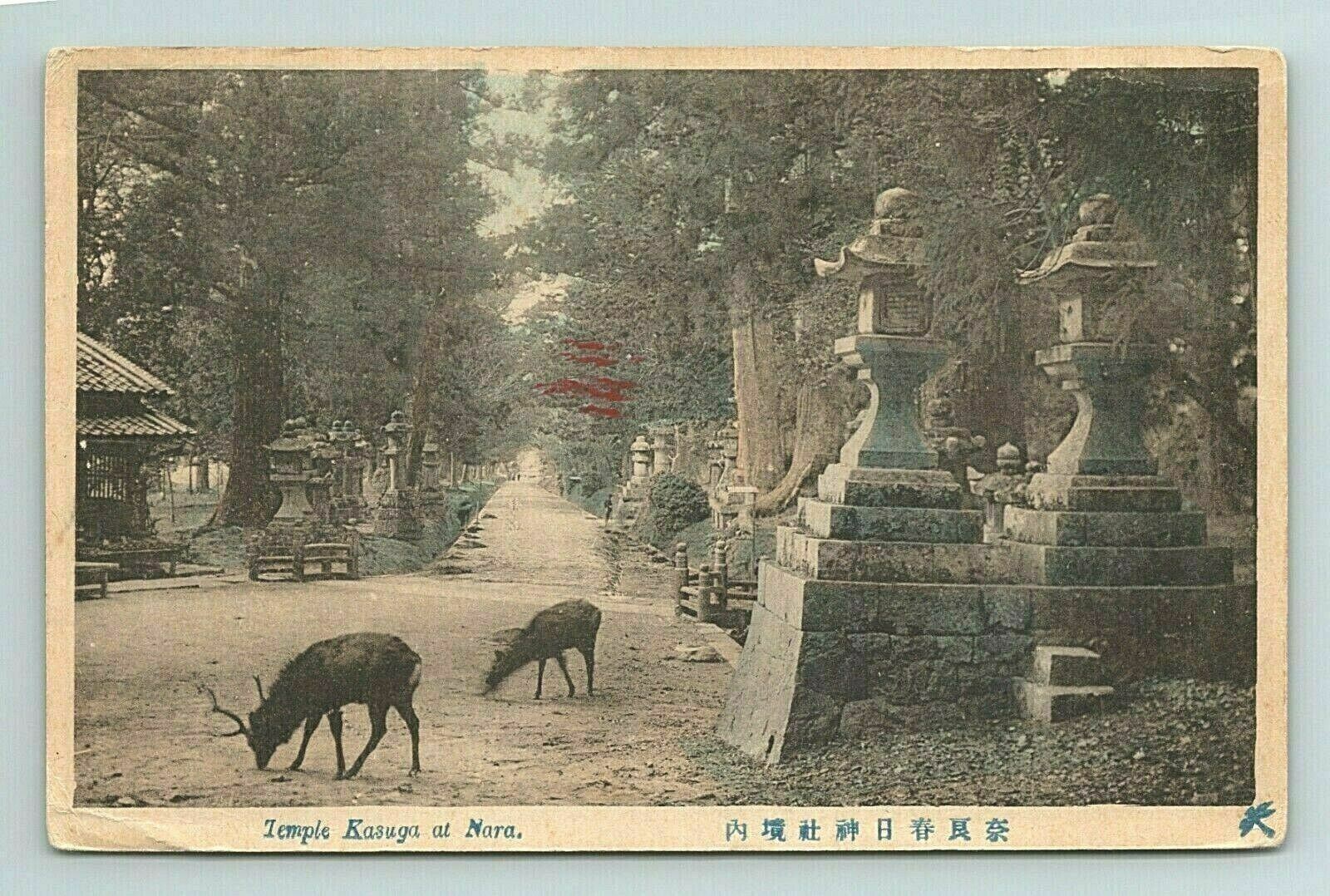Temple Kasuga at Nara Sika Deer Japan Japanese Postcard | Asia & Middle ...