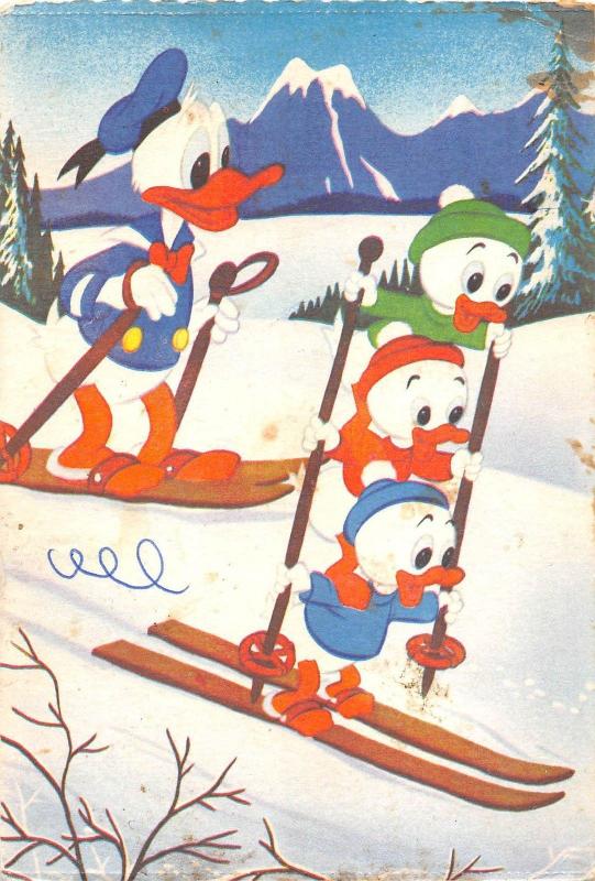 BF40837 walt disney donald duck ski cartoon movie star | Other ...