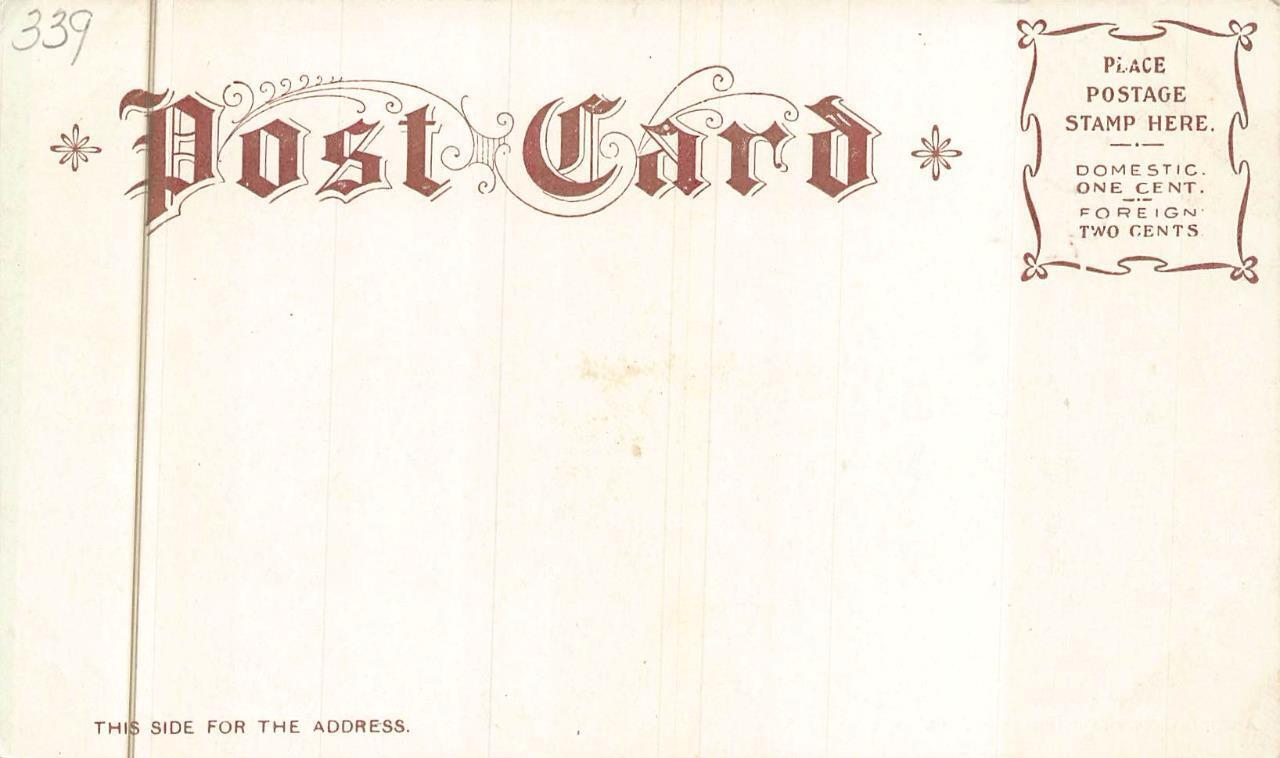 Live Oaks & Parade Ground Fortress Monroe Virginia Livingston Postcard ...