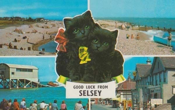 Selsey Sussex Life Boat Station Black Cat Fishing Beach 1970s Postcard ...