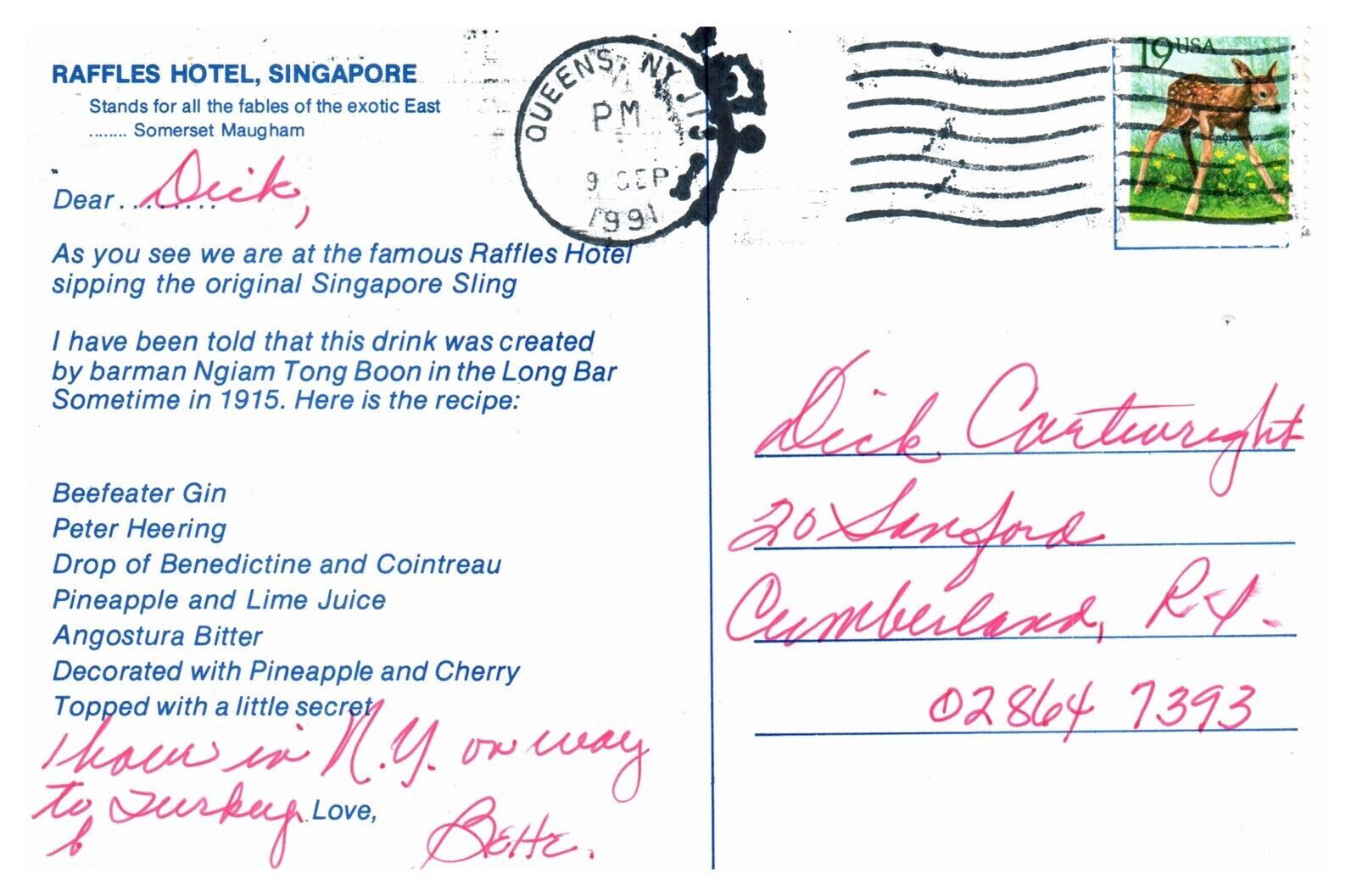 Raffles Hotel Original Sling Singapore Exotic East Multi View Chrome ...