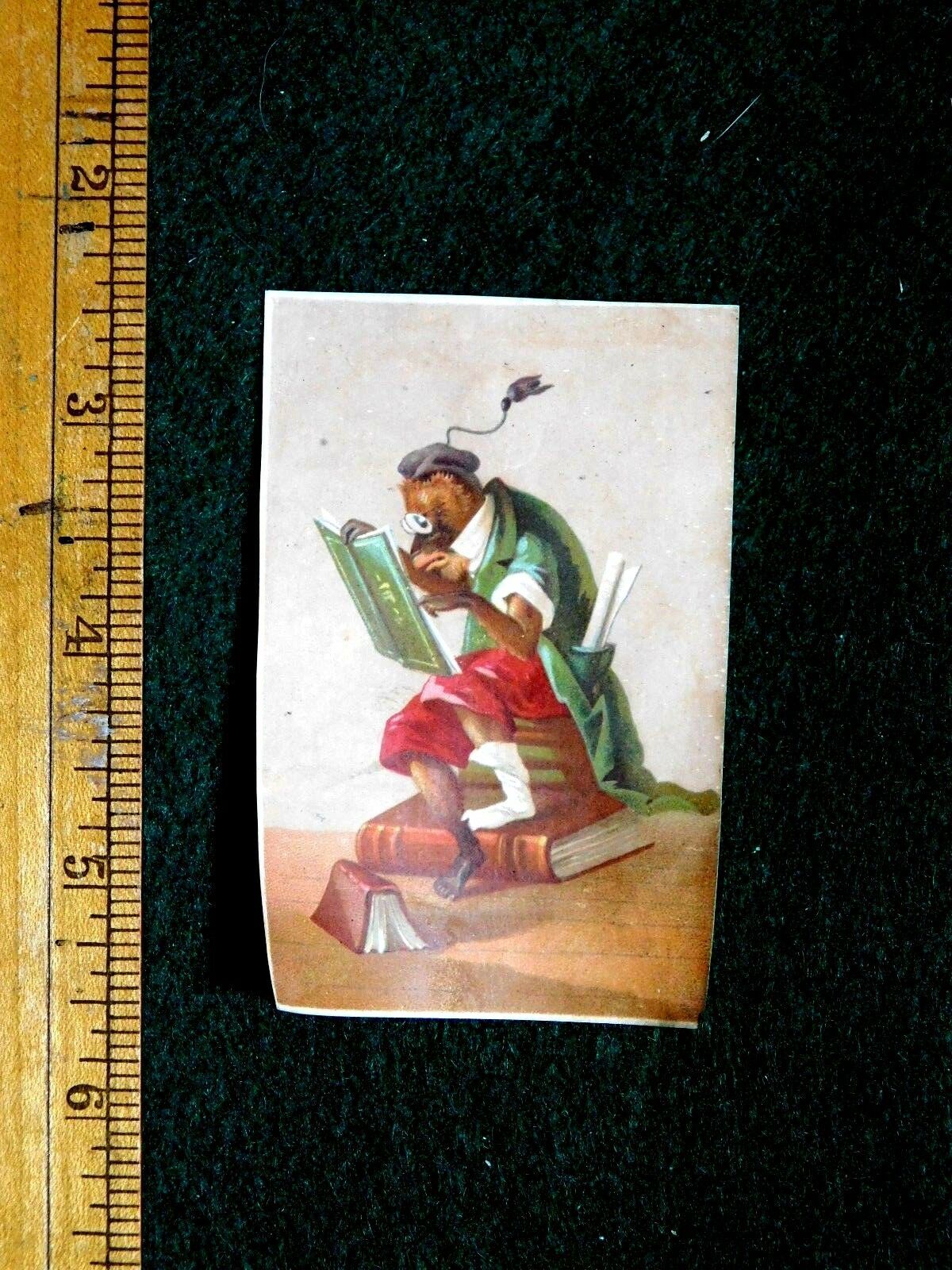 Lovely Fantasy Anthropomorphic Scholar Reading Books Victorian Card F34 ...