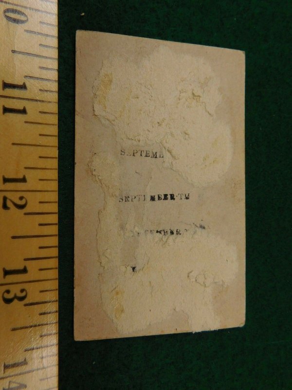 Lovely Adorable Vintage Real Photo CDV Taxidermy Cats Civil War Era ...