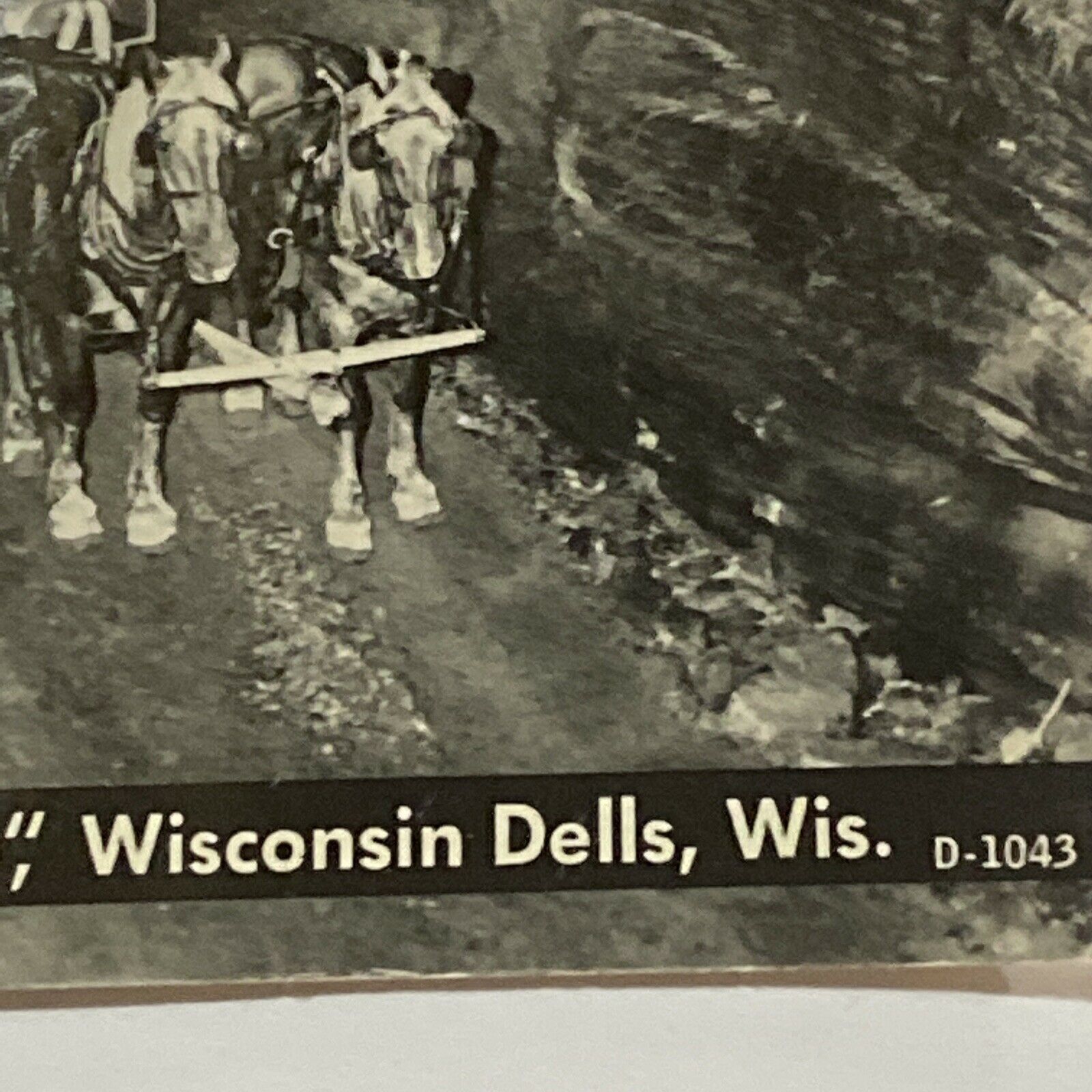 Vintage Old Postcard WISCONSIN Dells Real Photo Lost Canyon D-1043 ...