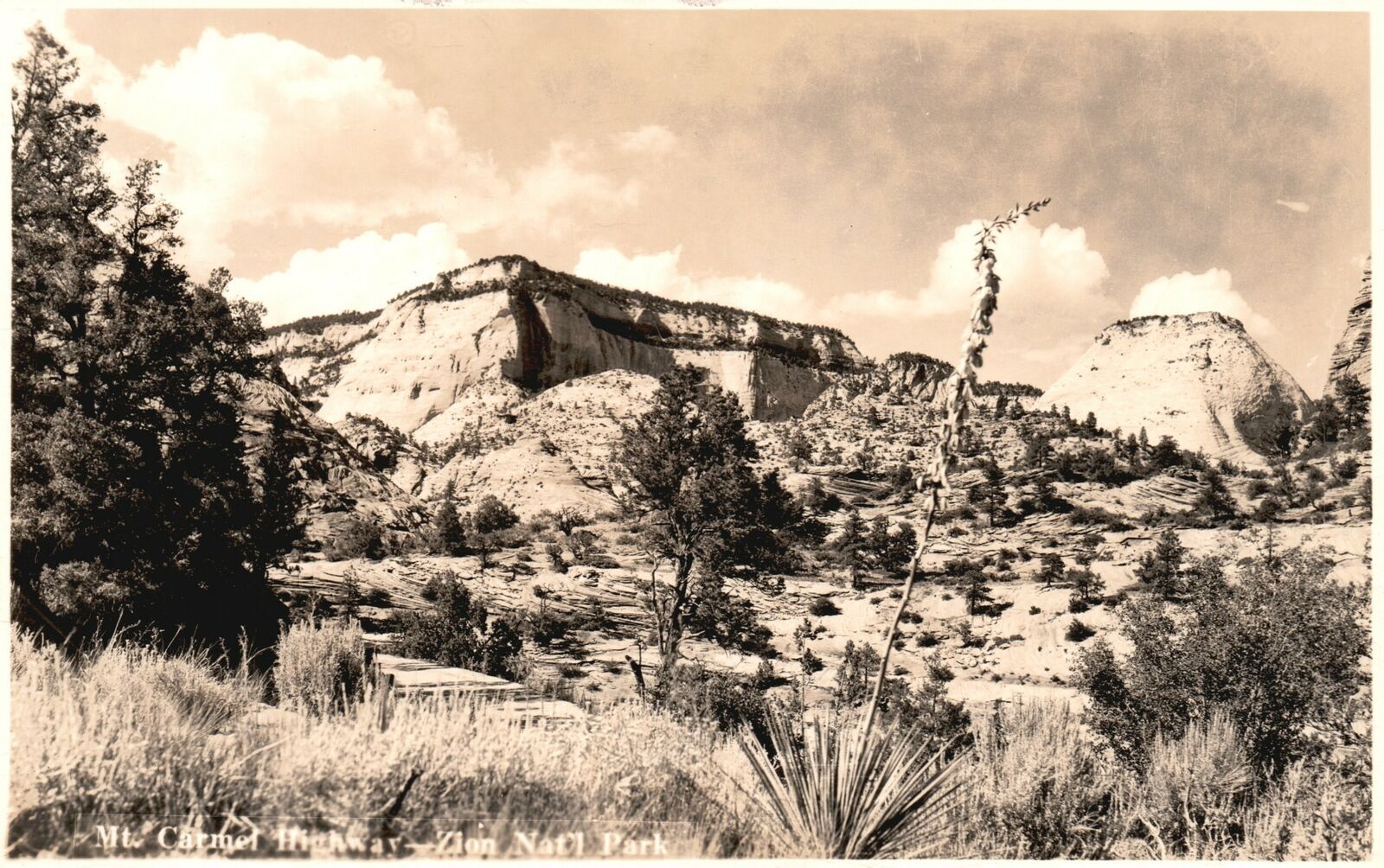 Vintage Postcard 1920's Mount Carmel Stiff Cliff Highway Zion National ...