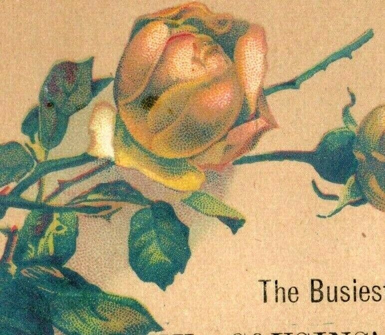 1880s-90s Frank Cousins' Bee-Hive P221 | Ephemera - Chromo & Printed ...