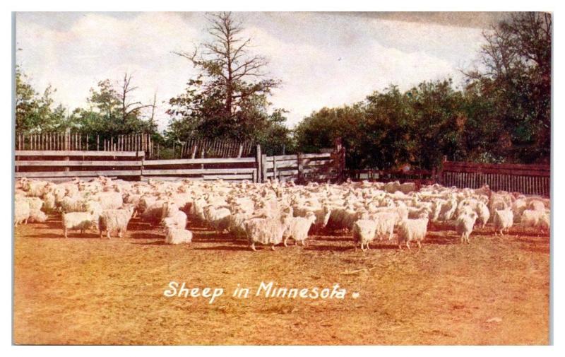 1909 Sheep in MN, Indian Reservations Opened, Get a Farm! Soo Line Ad ...
