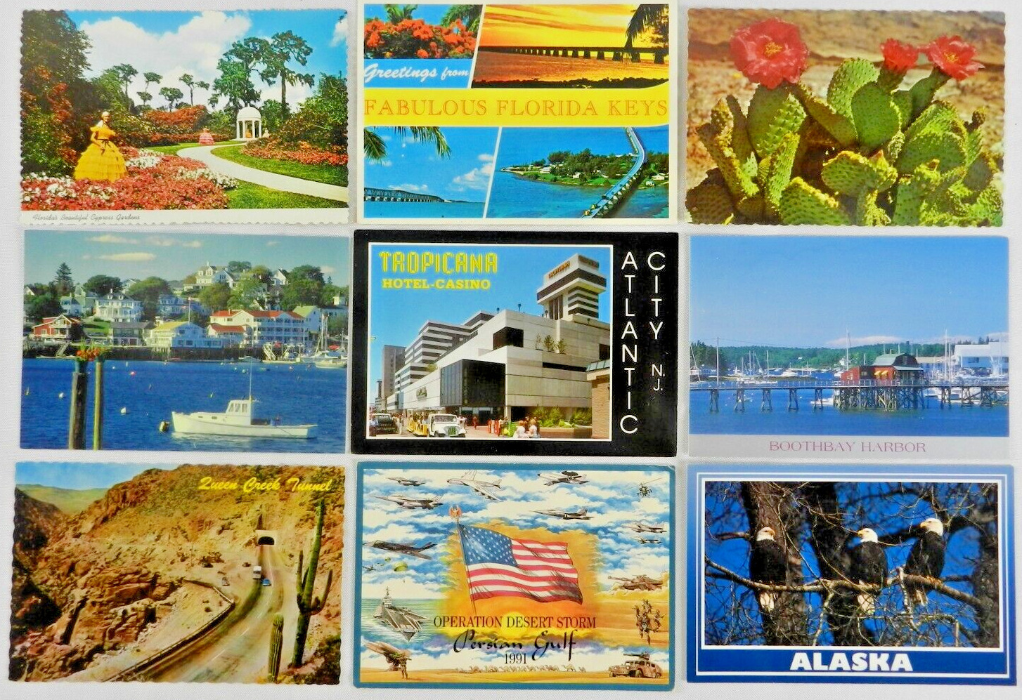 1970's Huge Lot Postcards 1000+ U.S.A. Street Views, Animals, Parks ...