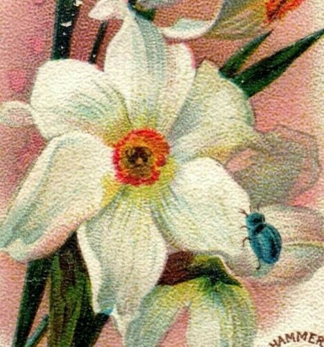 1880s-90s Arm & Hammer Brand Soda Beautiful Flowers Series N0.40 ...