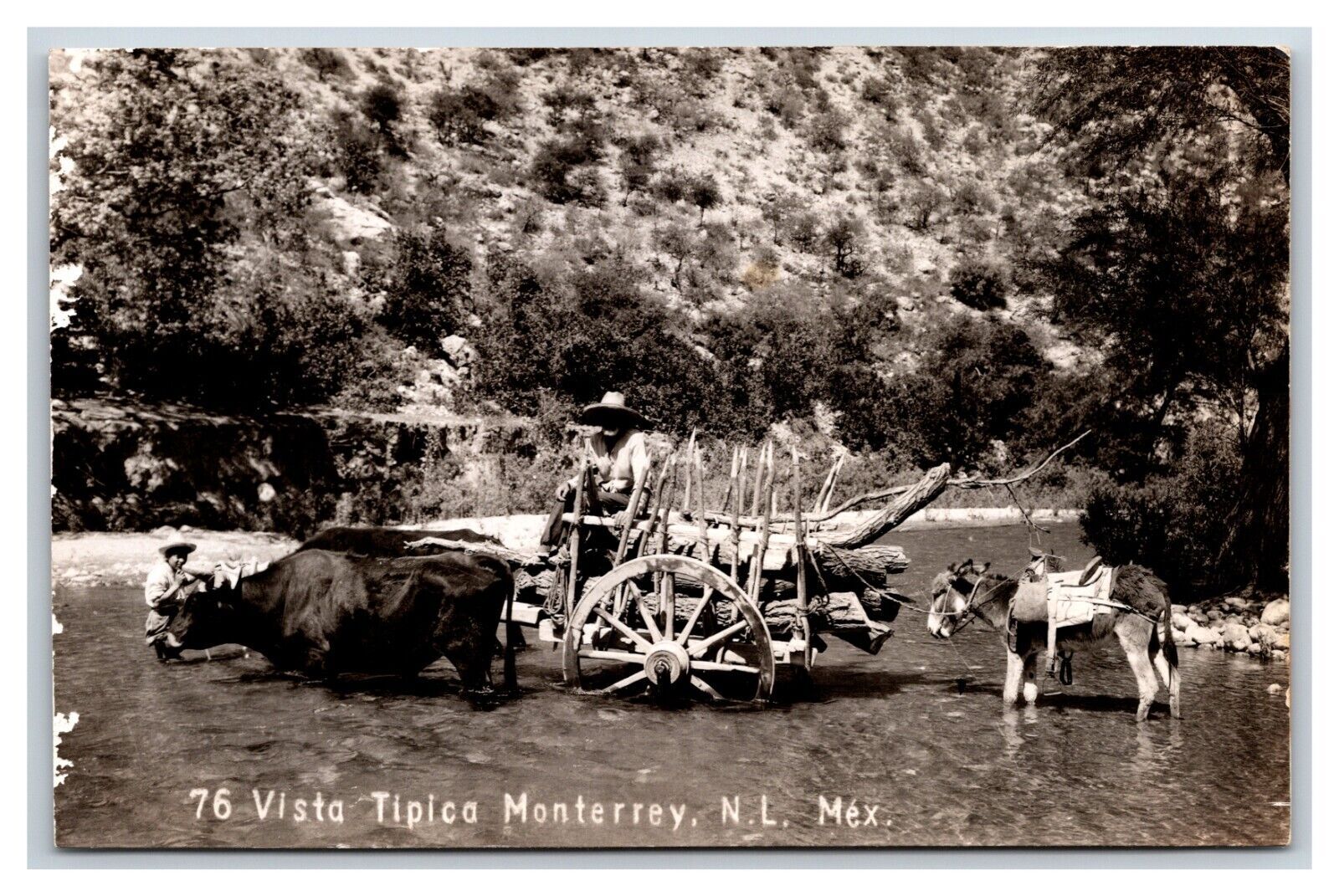 RPPC Vista Tipico Ox Pulling Cart Donkey Burro Monterrey Mexico UNP ...