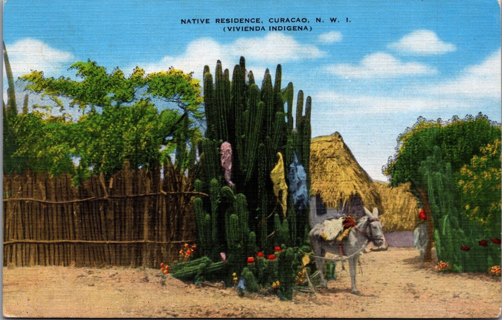Curacao Native Residence Curacao NWI Vivienda Indigena Postcard B246 ...