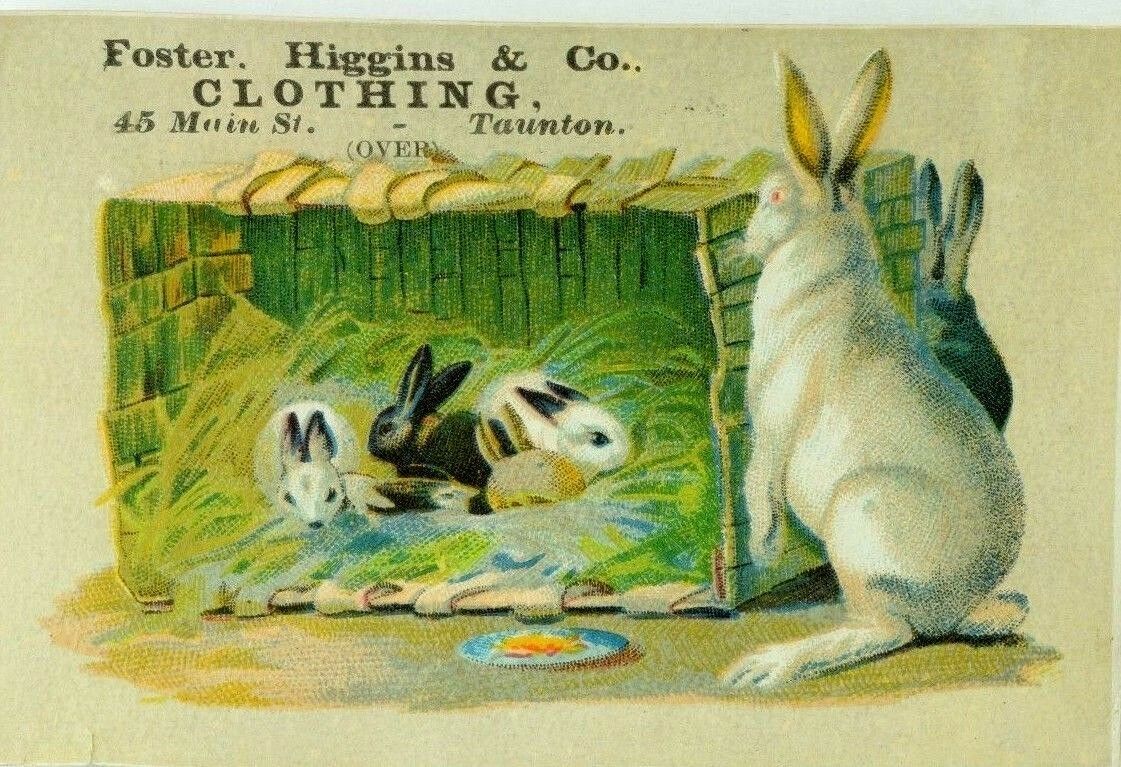 1880's-90's Foster Higgins & Co. Clothing White Rabbit & Cute Bunnies ...
