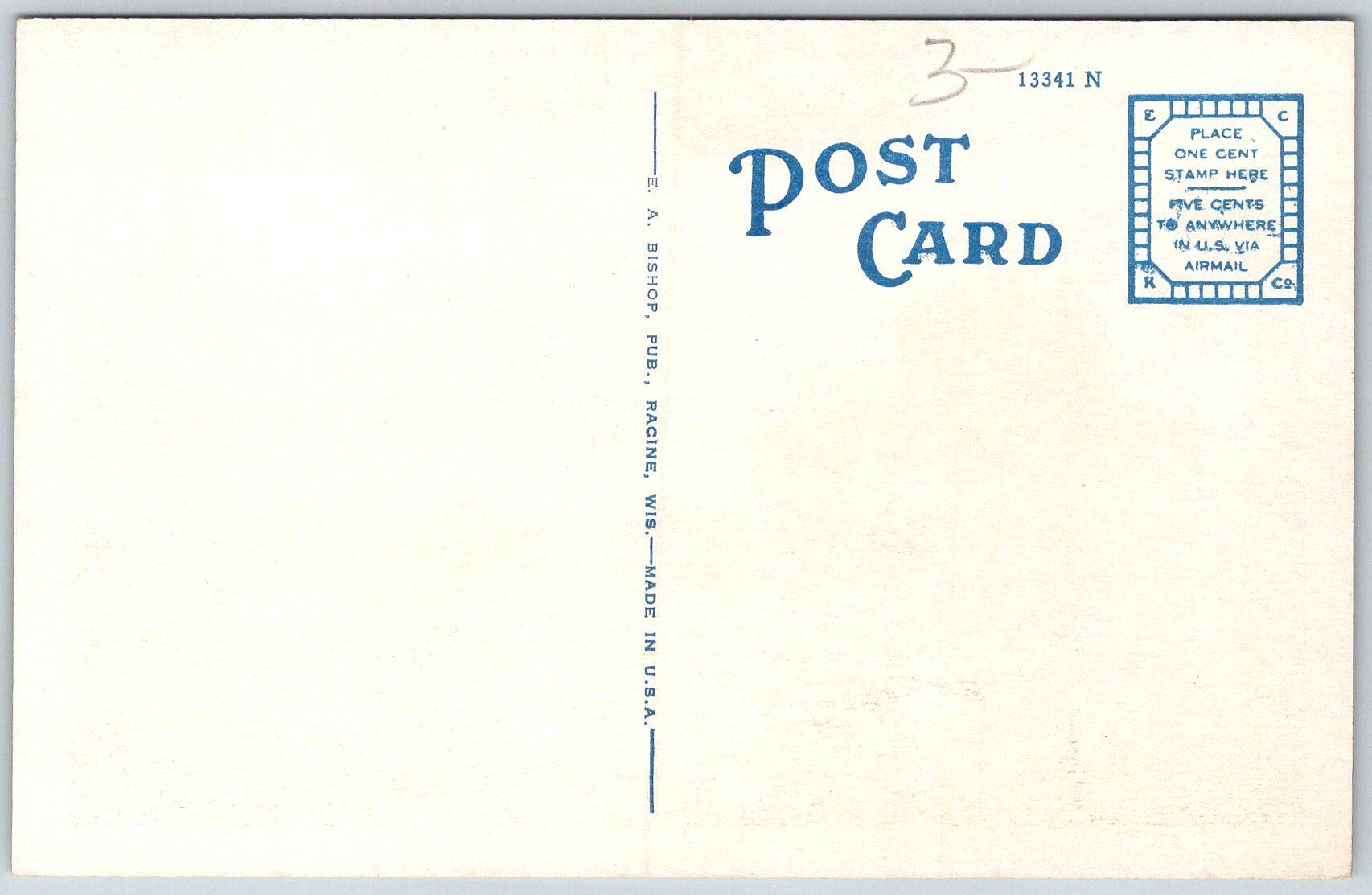 NATIVE AMERICANS 1920-30s Postcard Woman Watching The Passing Tourists ...