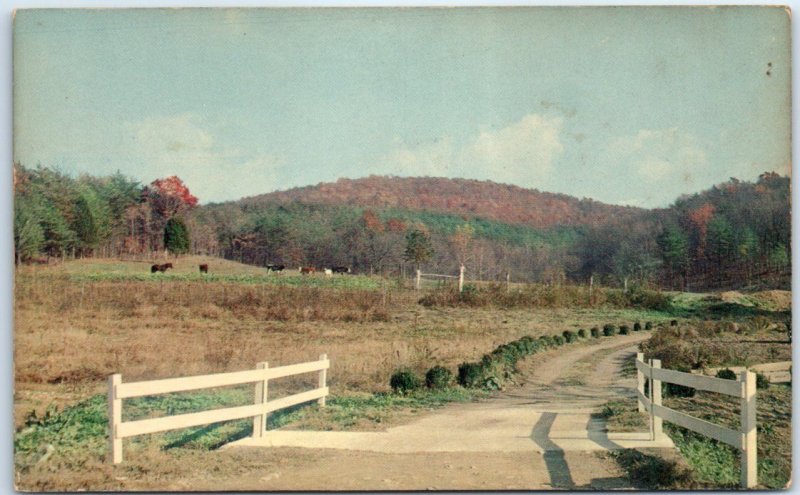 Unposted - Blue Ridge Mountain Scene - Cumberland Valley - Appalachian ...