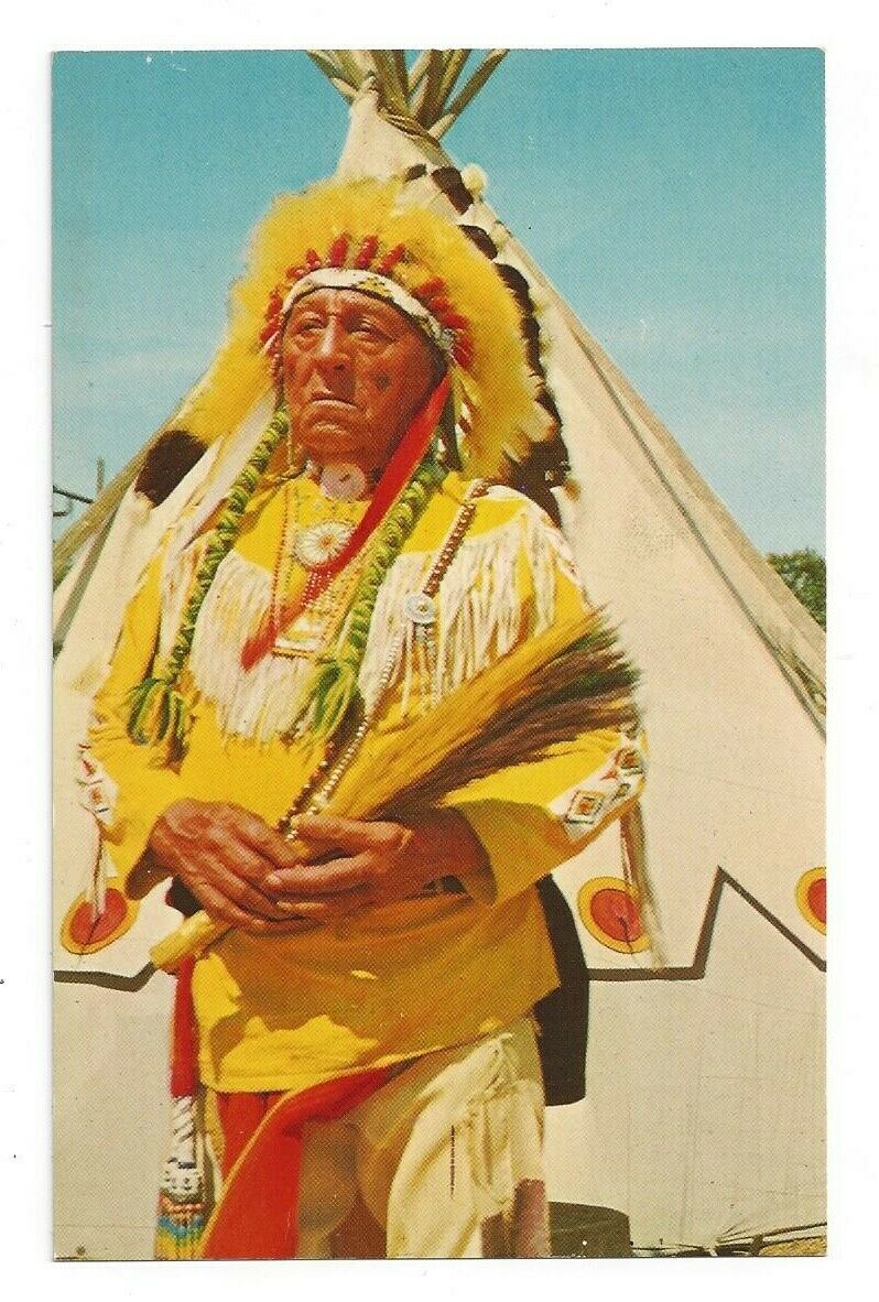 Native American Postcard Indian Chief Dignity Poise Standard View Card ...