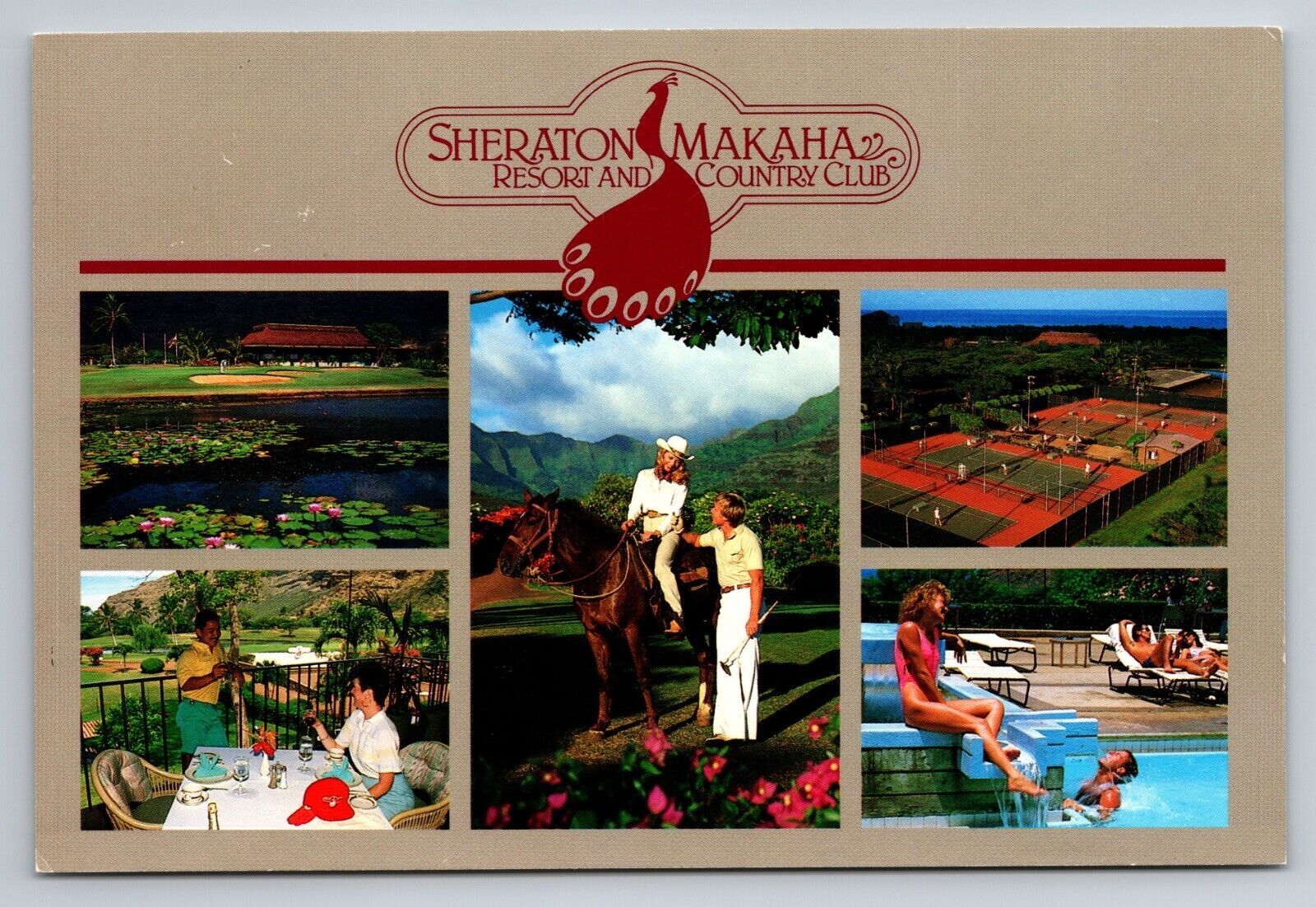 Sheraton Makaha Resort And Country Club Waianae Hawaii Unposted ...