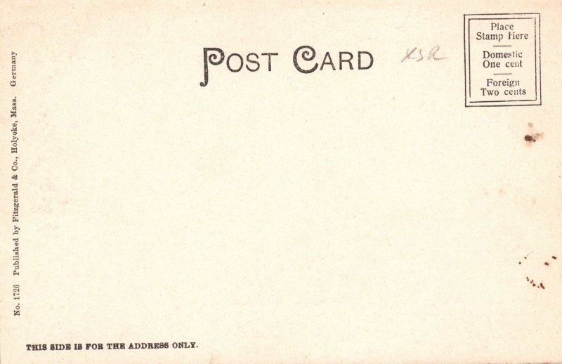 Vintage Postcard High School Campus Holyoke Massachusetts Fitzgerald ...