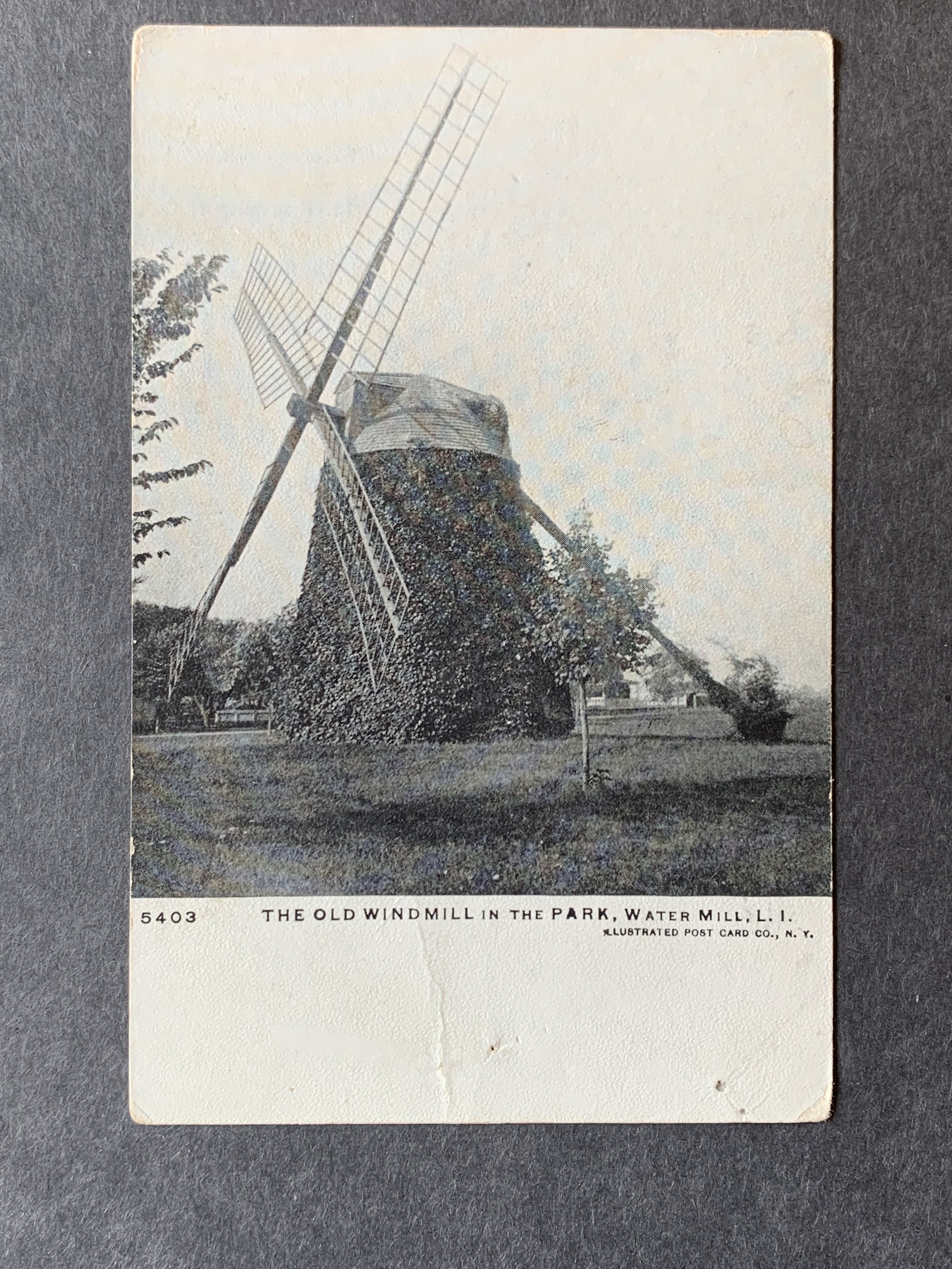 The Old Windmill In The Park Water Mill Long Island NY Litho Postcard ...