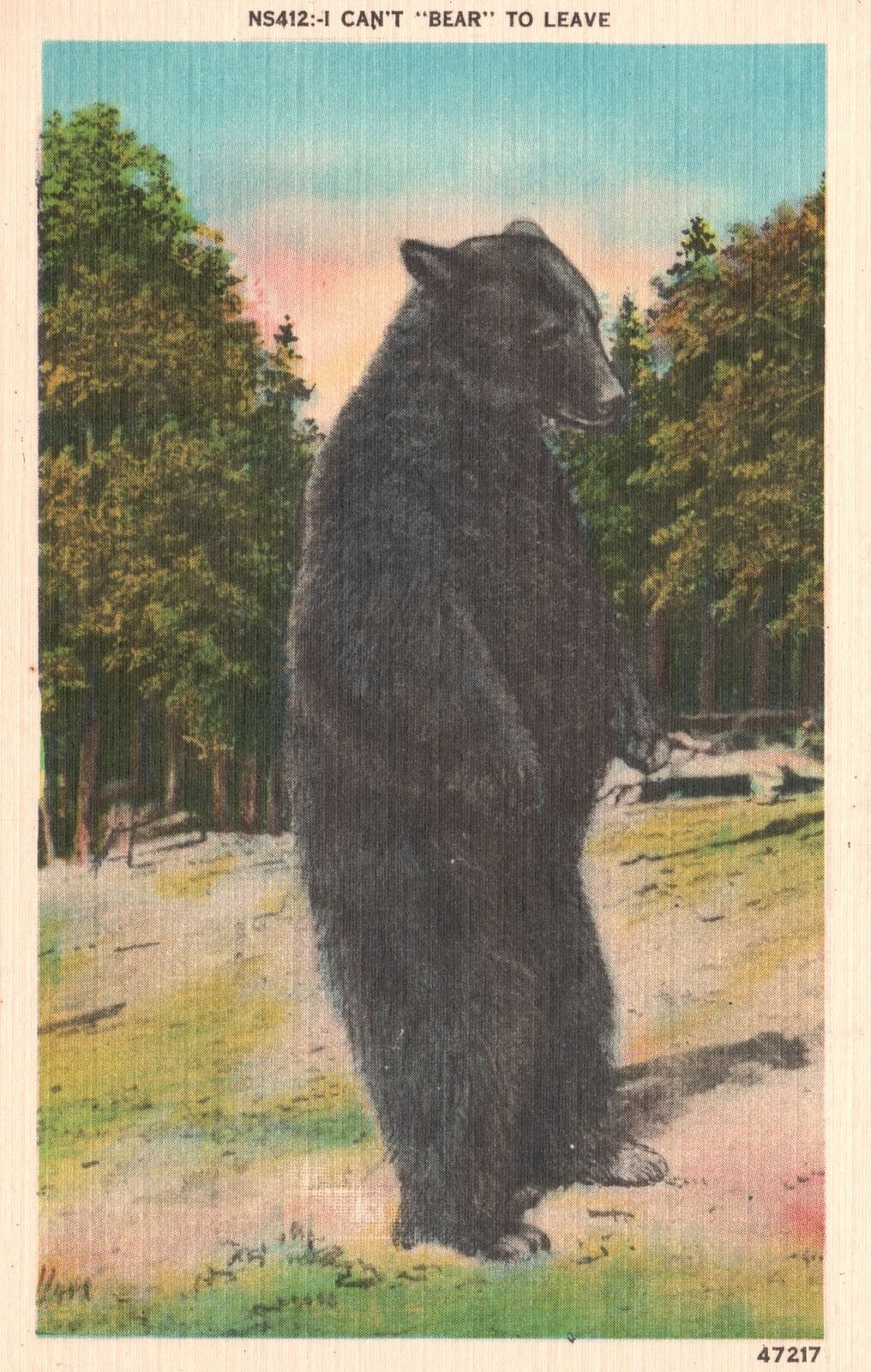 Vintage Postcard Black Bear Standing Can't Bear to Leave Forest Wild ...