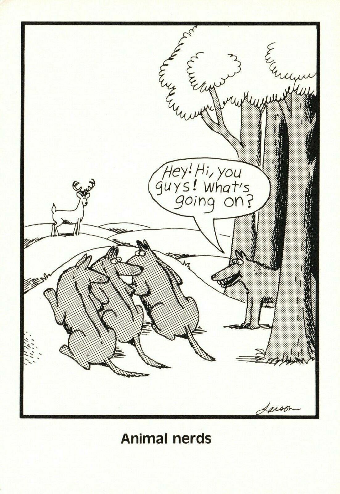 Postcard The Far Side Animal Nerds What's Going On? Comic Funny Gary ...