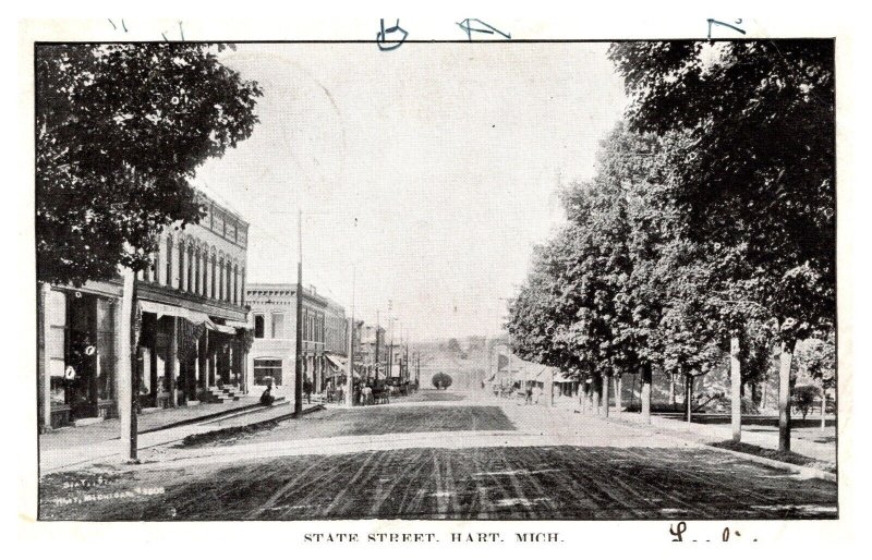 Hart Michigan Main Street View Buildings 1905 - A37 | United States ...
