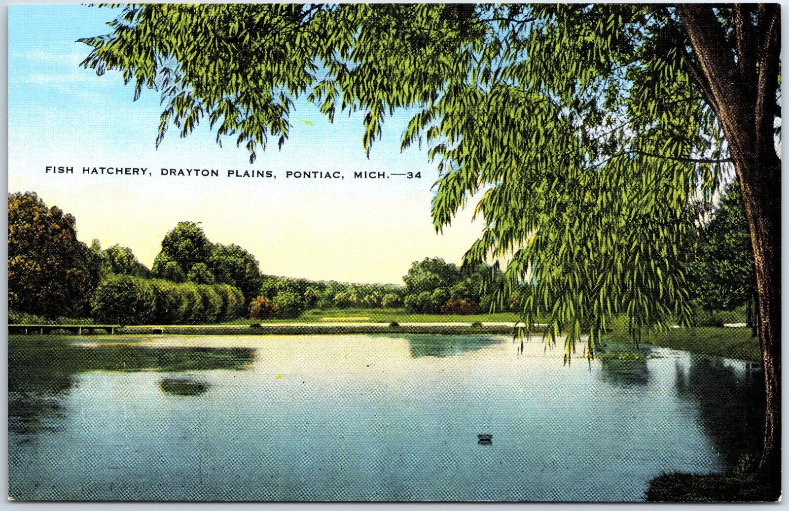Vintage Postcard the Fish Hatchery at Drayton Plains Pontiac Michigan ...