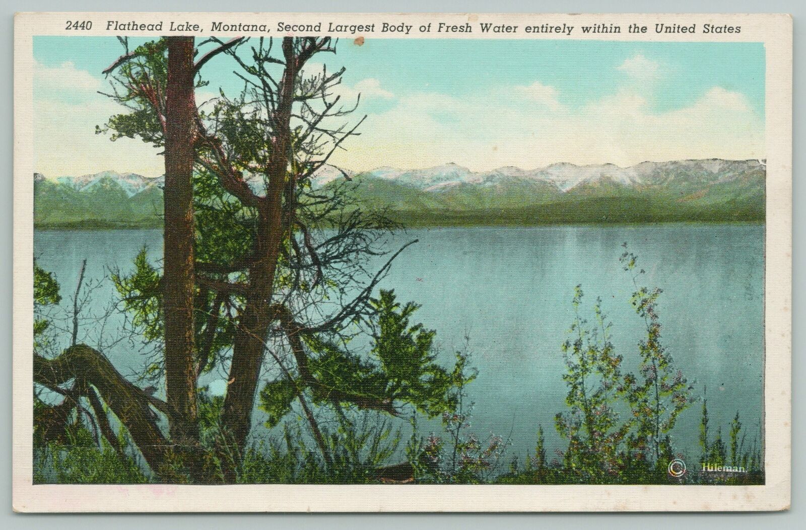 Flathead Lake MT~Second Largest Body Of Fresh Water~1940s Linen ...