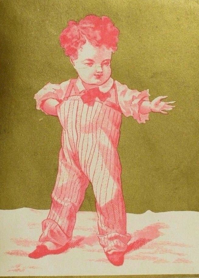 1880's Daniel A. Paige Dealer In Pig'a Feet Tripe Dressed Hogs Boy Big ...