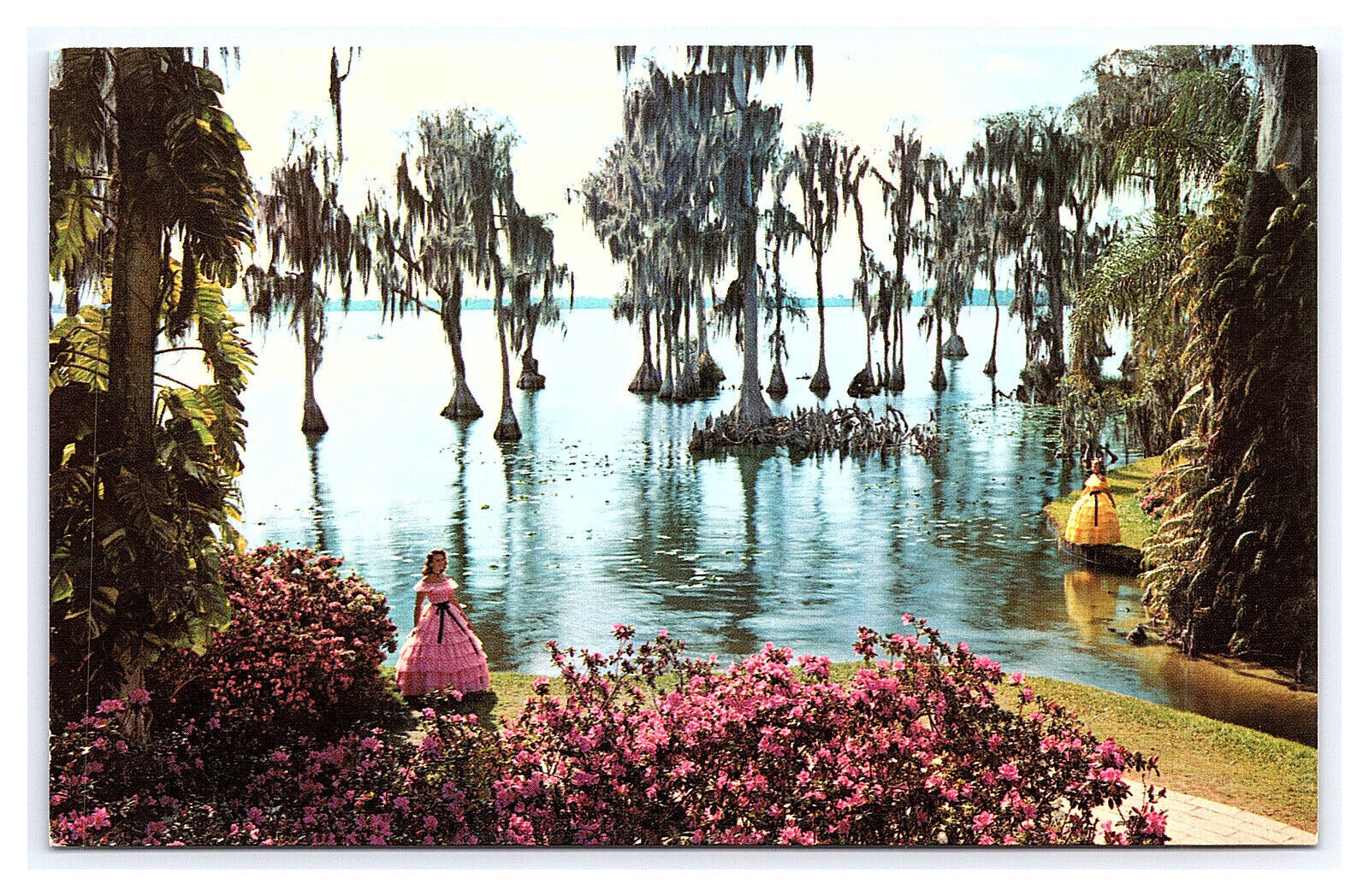 Lake Eloise Cypress Gardens Florida Postcard Cypress Trees Spanish Moss ...