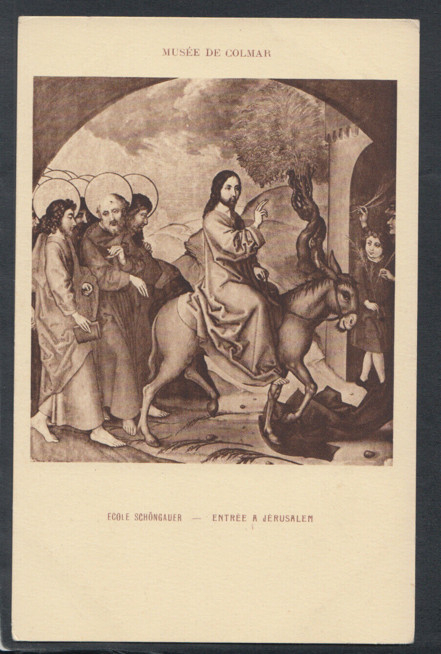 France Postcard - Musee De Colmar - Ecole Schongauer, Entree a ...