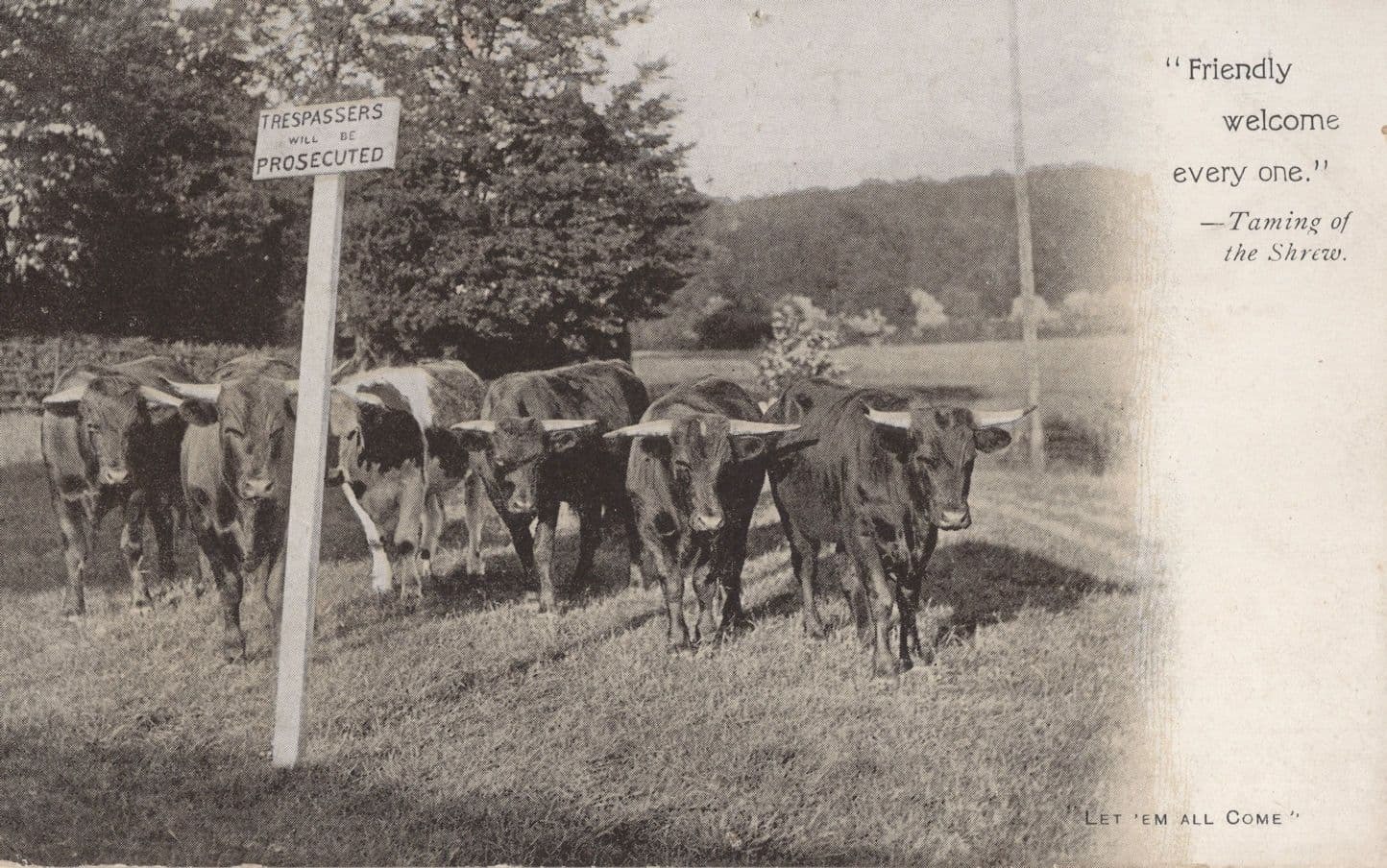 Taming Of The Shrew Antique Cattle Shakespeare Comic Postcard | Topics - Cartoons & Comics ...